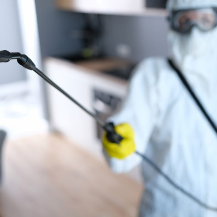 Milwaukee Bed Bug Pest Control - Valiant Pest Control